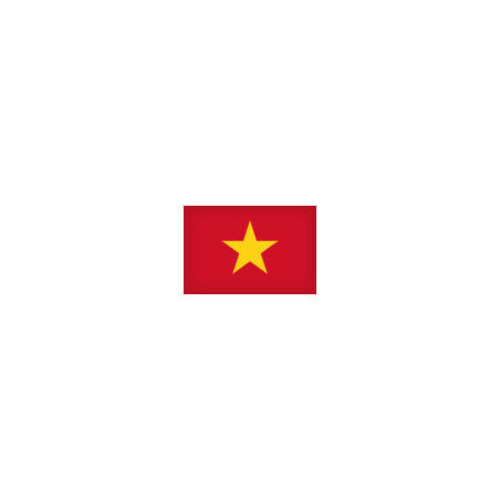 BANDERA DE VIETNAM-EXTERIOR